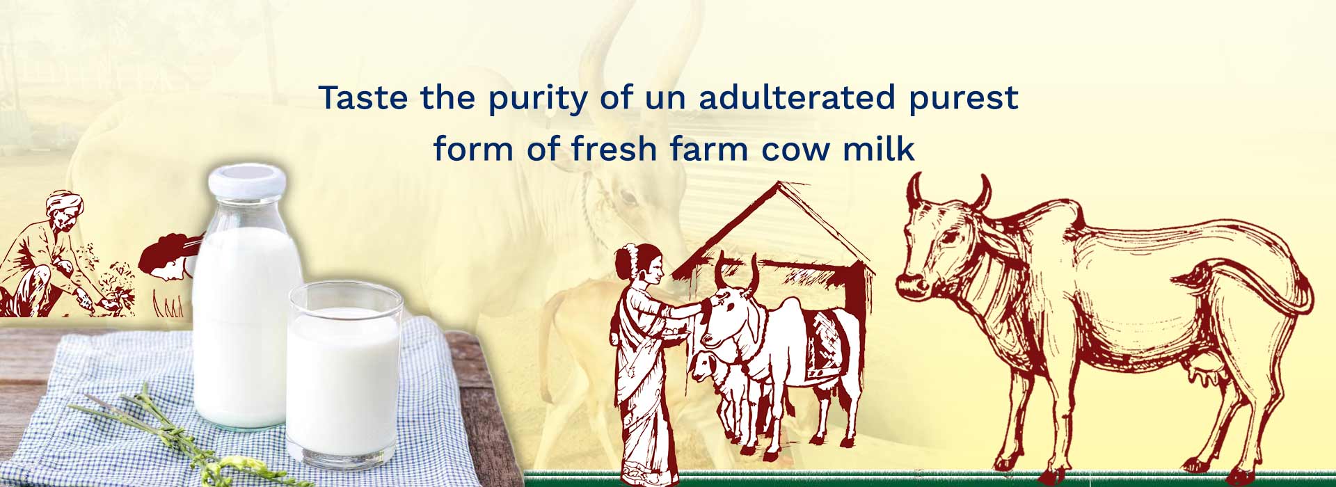 Village Milk - Fresh how milk near me | Original cow milk in Chennai